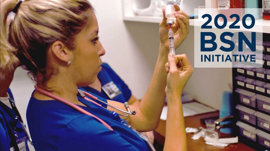 BSN 2020 Initiative - Hallmark University