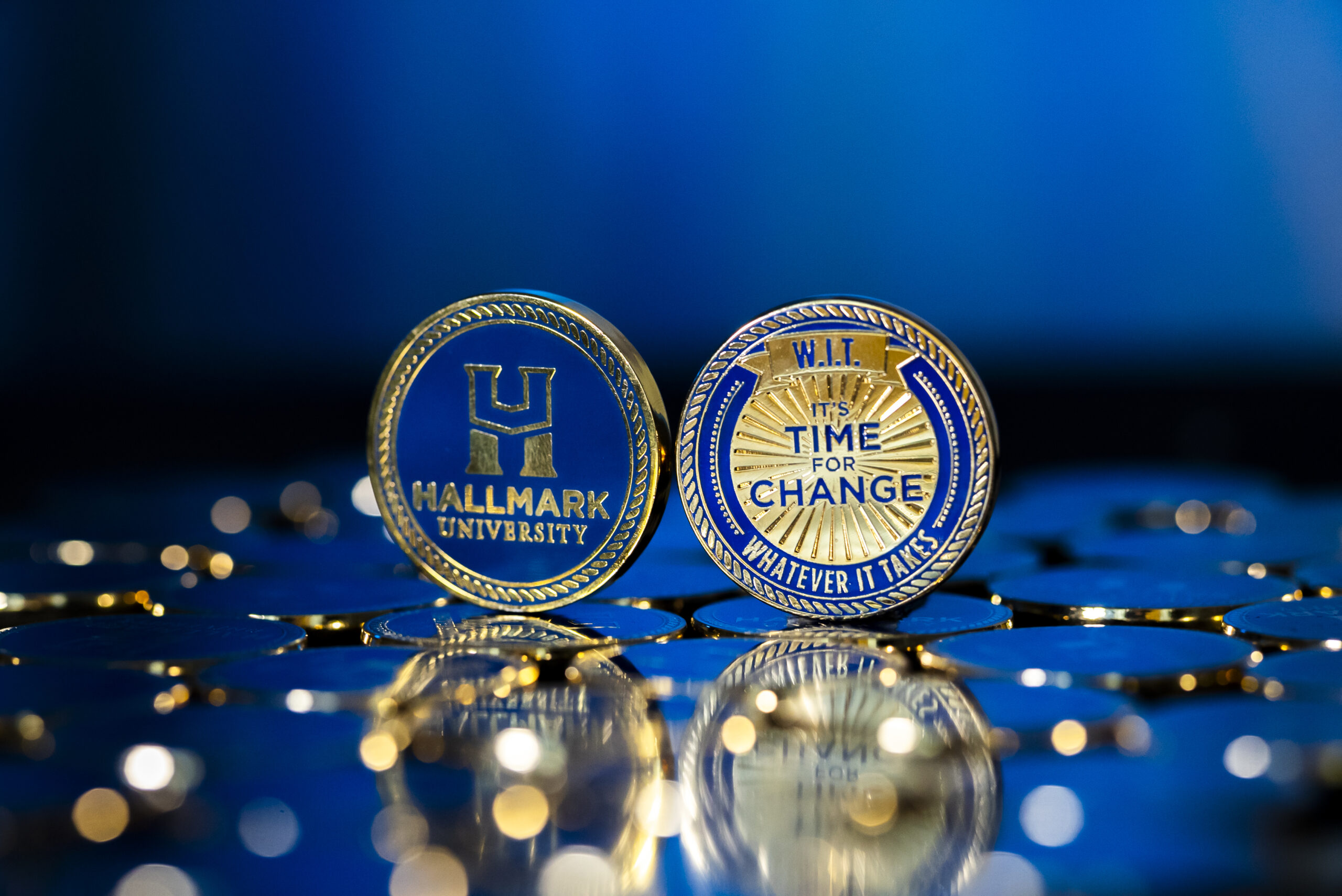 Whatever It Takes Coin - Hallmark University